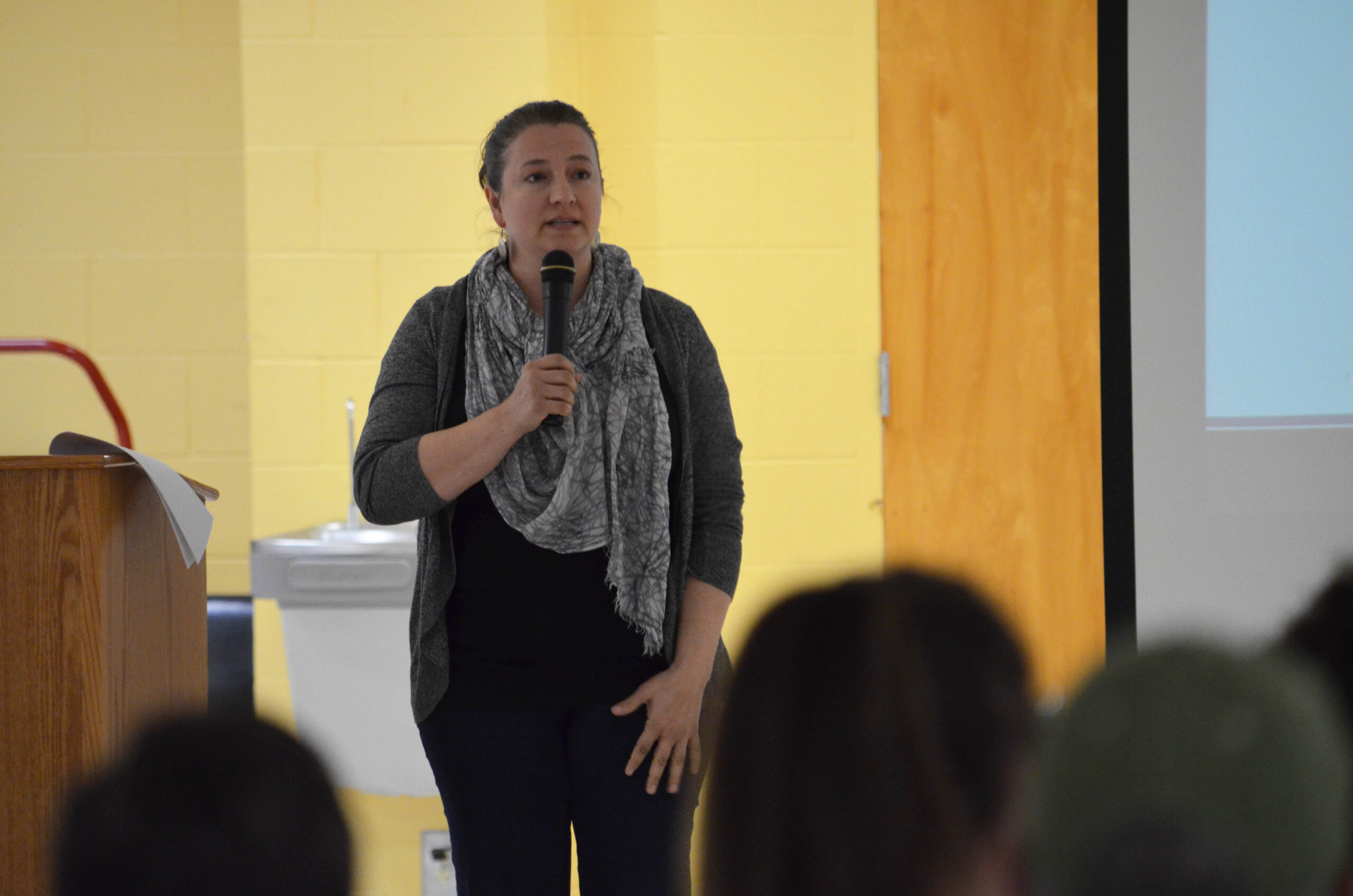 The Willow board to search for a new permanent executive director ...